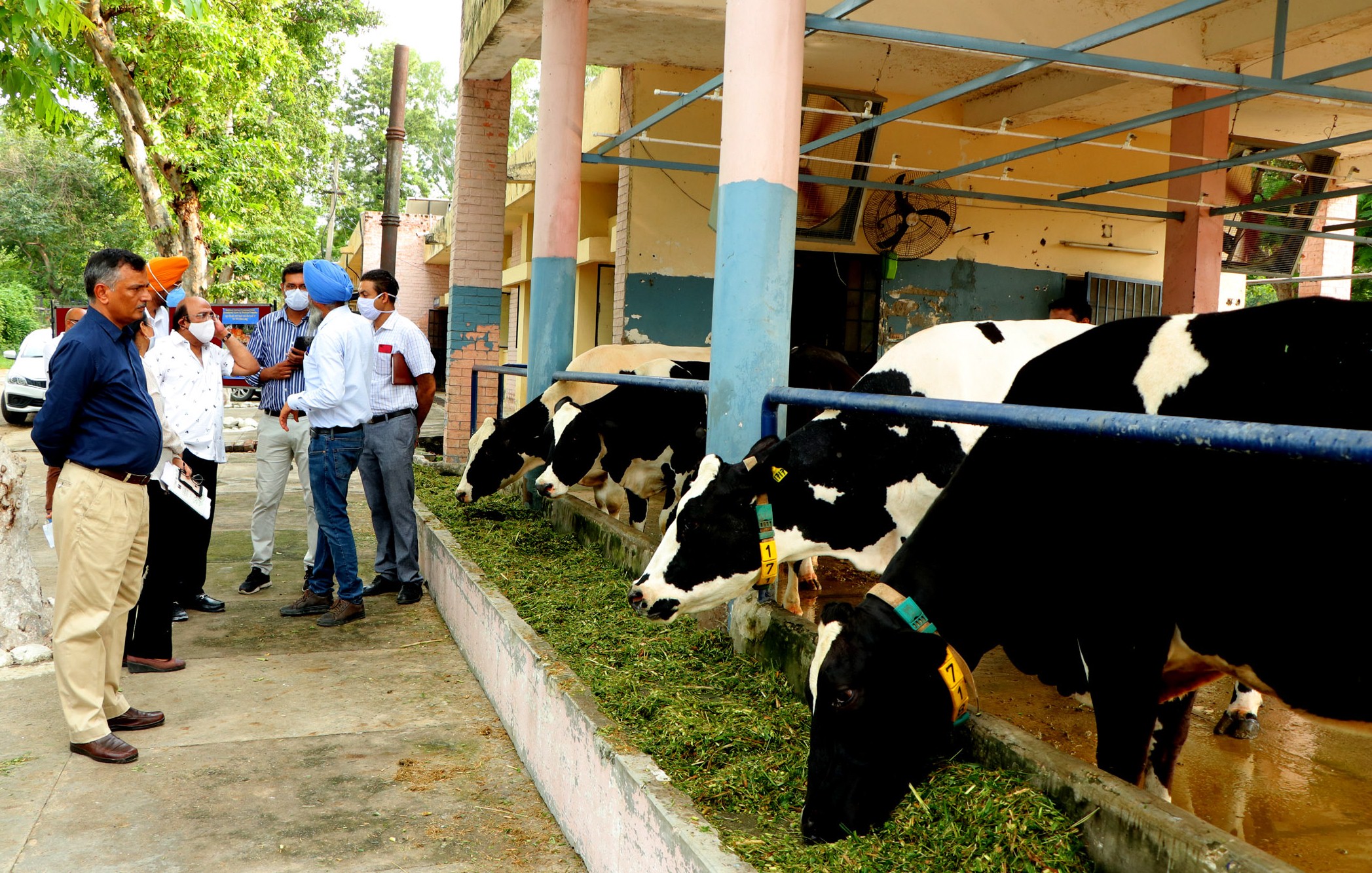 GADVASU - Guru Angad Dev Veterinary And Animal Sciences University